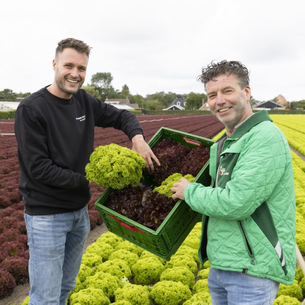 Home - Knook AGF - Dé groothandel voor AGF in Purmerend